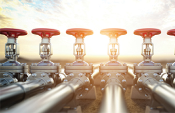 PSMS Assessment Request